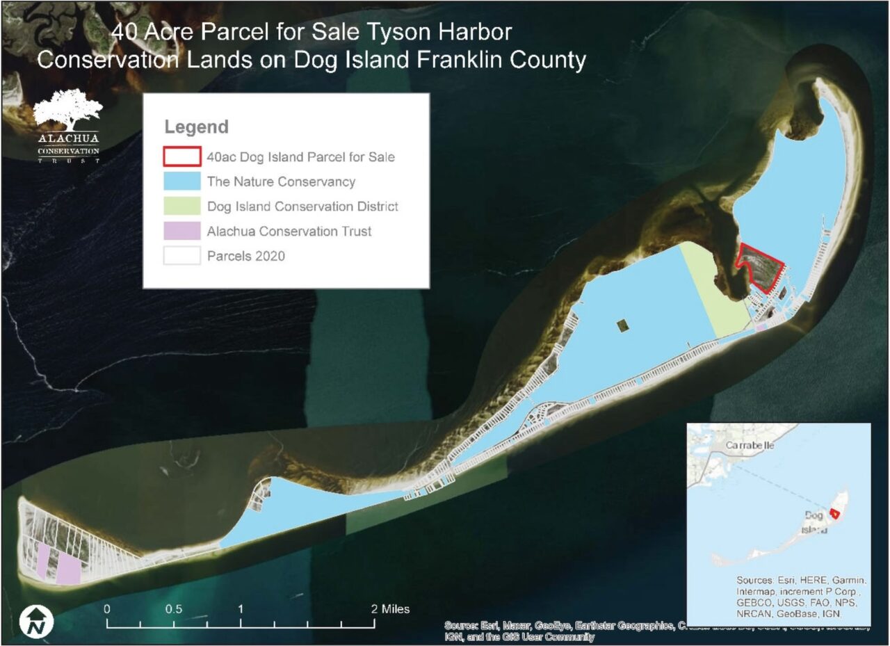 Dog Island Preserve | Atira Conservation